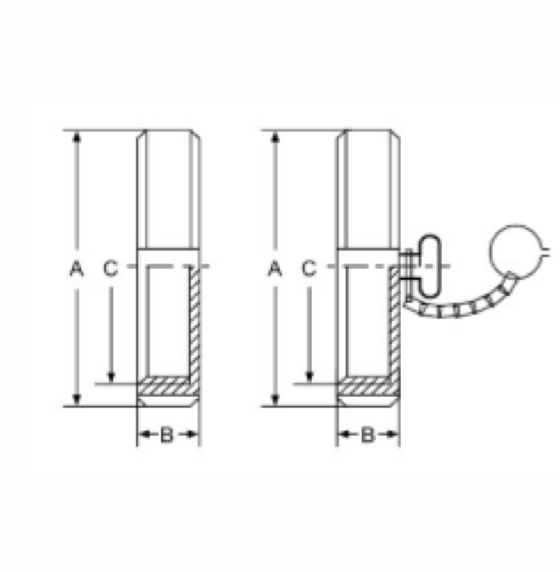 ISO-13RBN Blank nut with boss - pestainless
